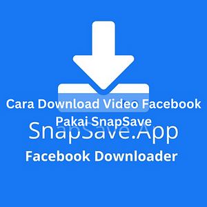 Cara Download Video Facebook Pakai SnapSave (Update 2025)